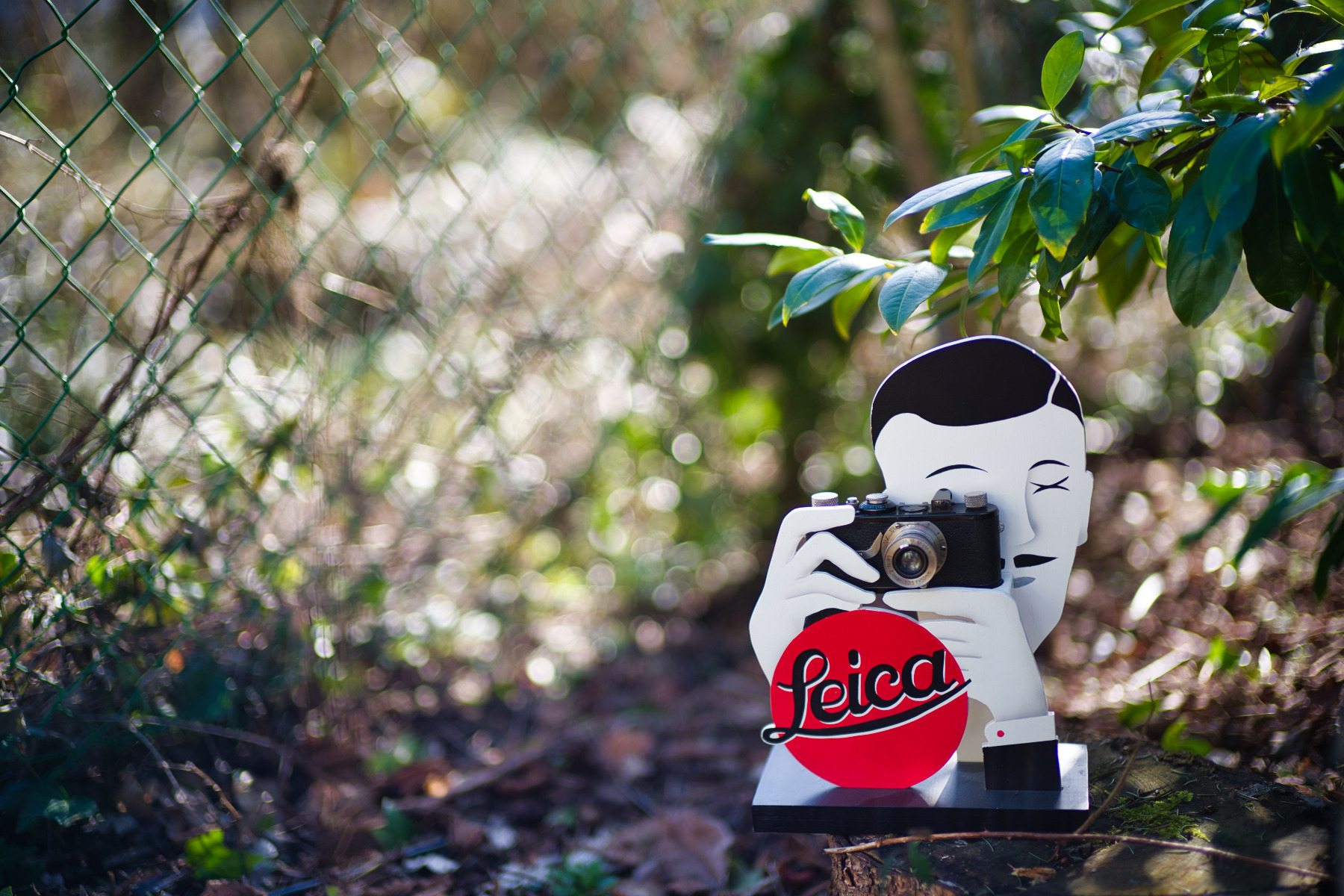 Voigtländer Nokton 50mm f/1.0 - The Wizard King - Marc Hoch | JO GEIER